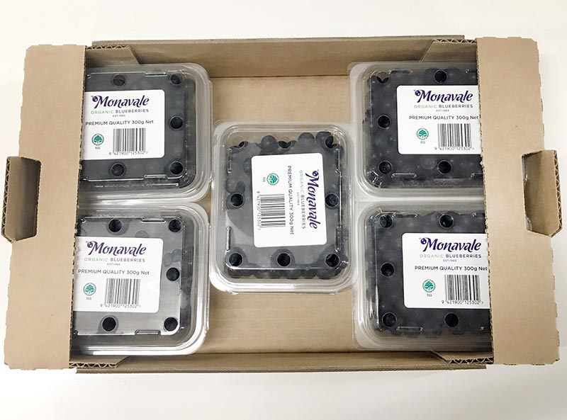 Tray of 5 x 300g Fresh Organic Blueberries – Monavale Organic Blueberries